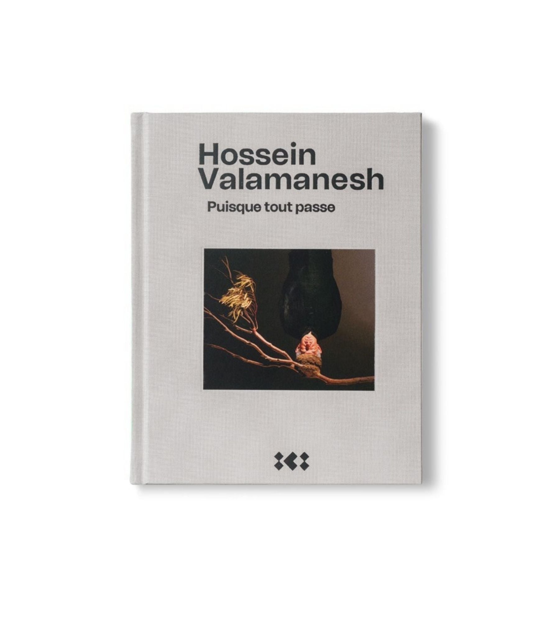 Hossein Valamanesh Puisque tout passe – AGSA Shop